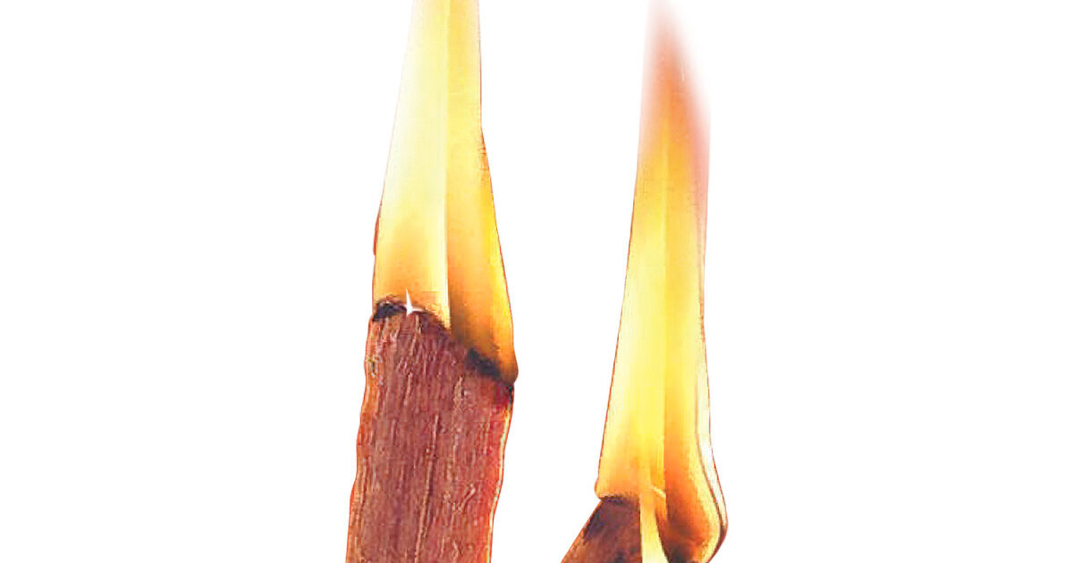 Fatwood | Imperial